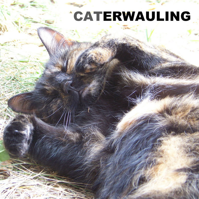 Caterwauling | Various Cat Lovers | HNW