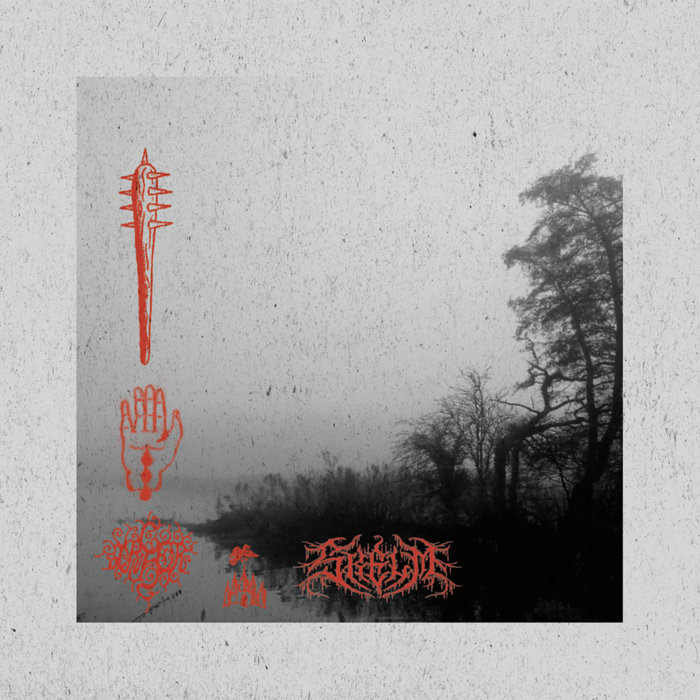 Split | Archer / Skelm | Fogged Entity