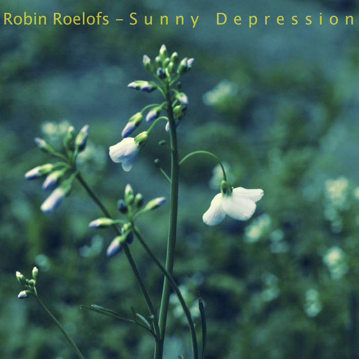 Sunny Depression | Robin Roelofs