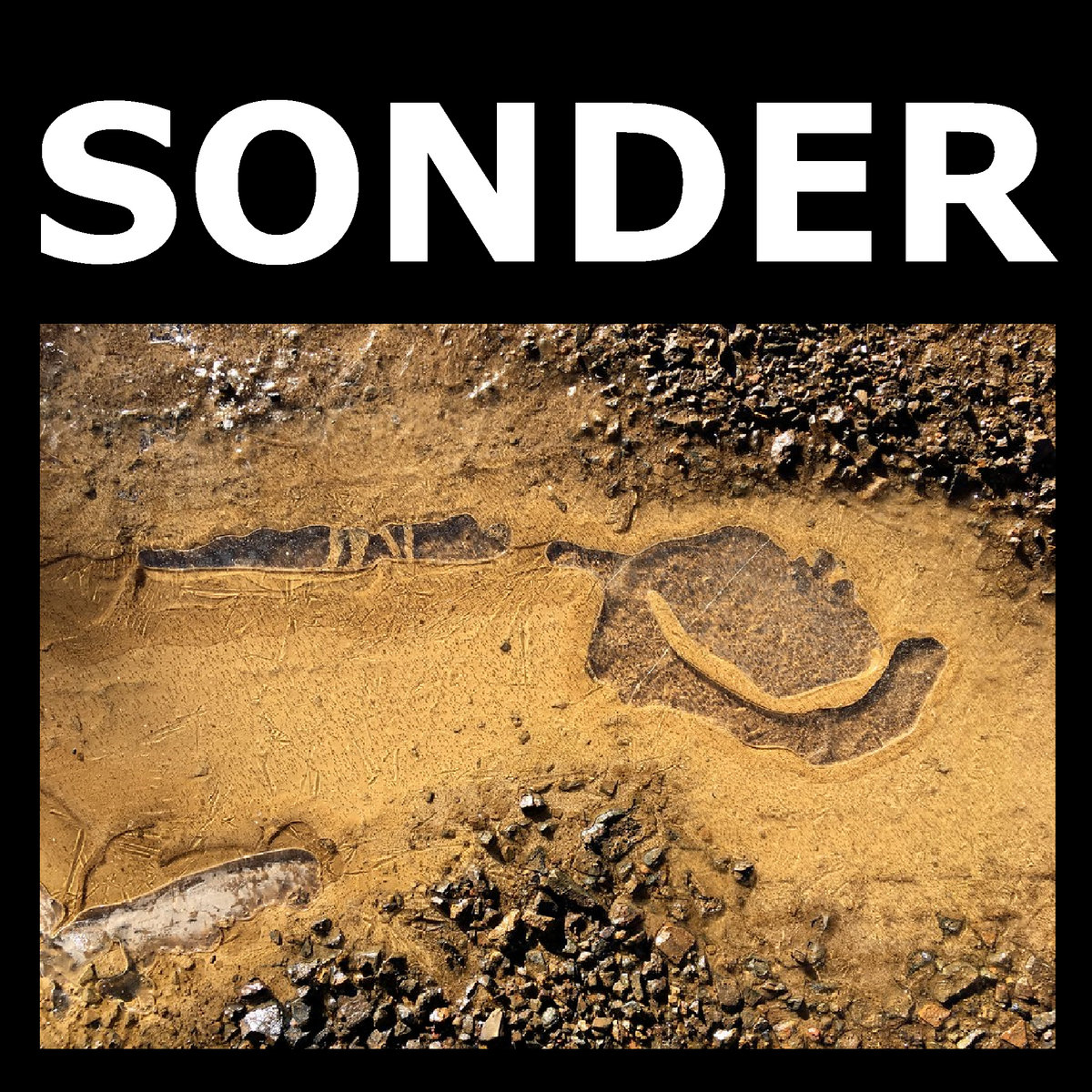 Universal Emotions | Sonder
