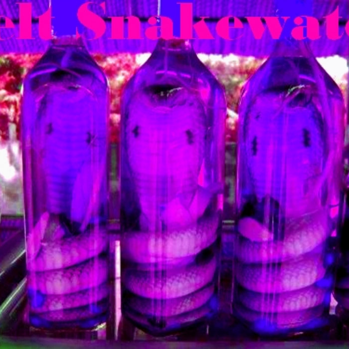 Delt Snakewater | Delt Snakewater