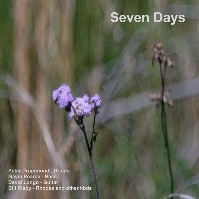 Seven Days | Bill Risby