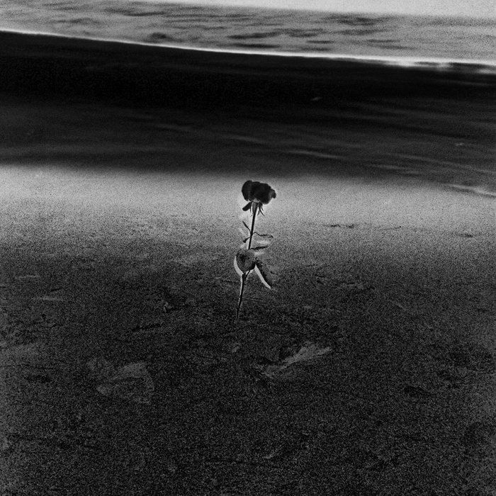 Faith In Love | Roche