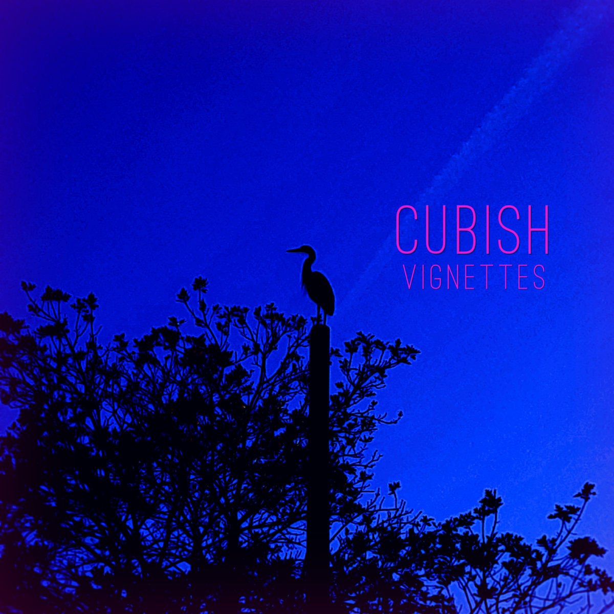 Vignettes | Cubish