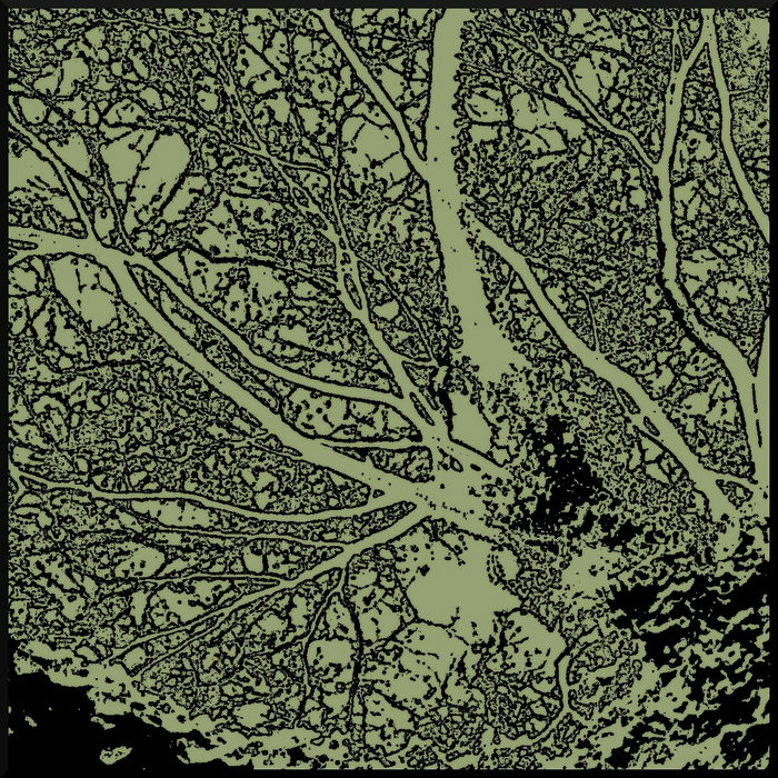 improper nouns ep | halfwalk