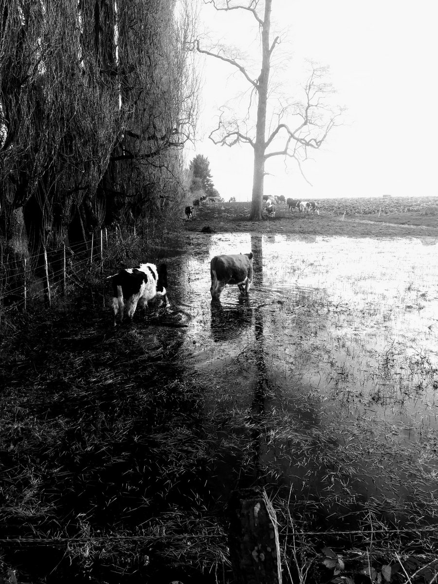 Antoine Beuger: three drops of rain/east wind/ocean (2006) | Cristián ...