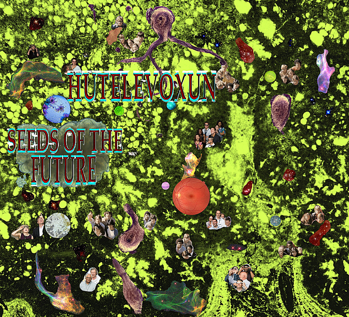 Seeds Of The Future | HUTELEVOXUN