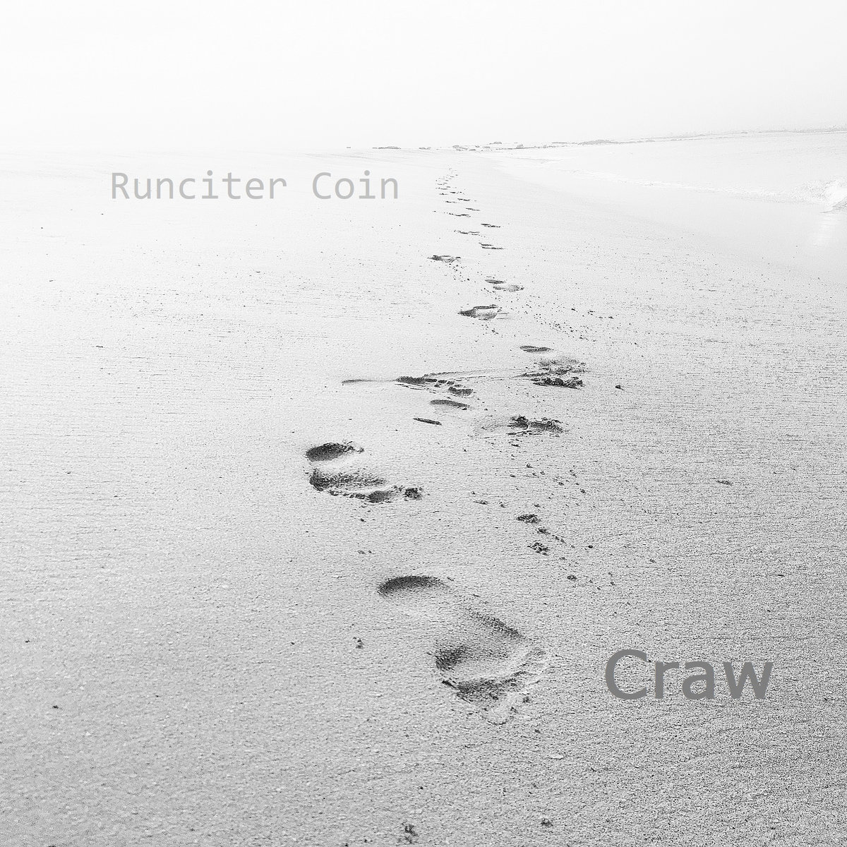 Retinal Imprints | Runciter Coin