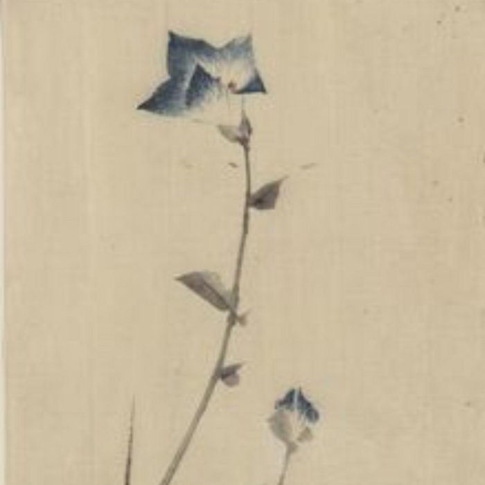 Engobe | Nobuto Suda