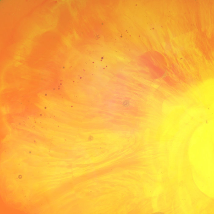 Iodine Yellow | Black Moon Howl