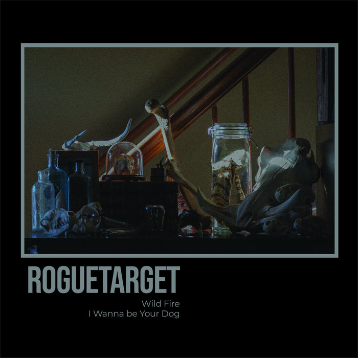 Wildfire | Rogue Target