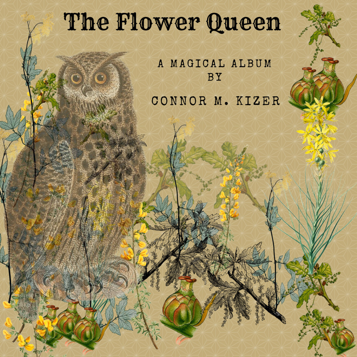 The Flower Queen: a Magical Album | Connor M. Kizer