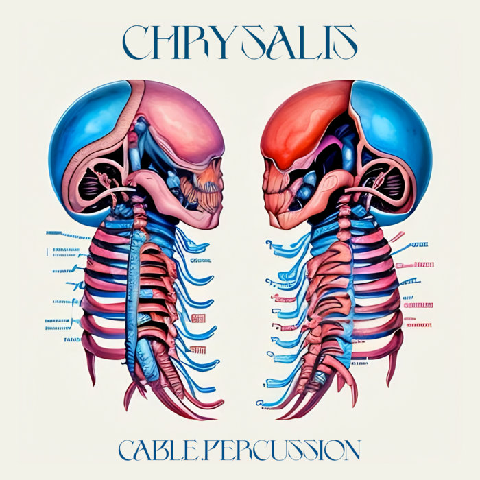 Chrysalis | cable.percussion | Aduaine