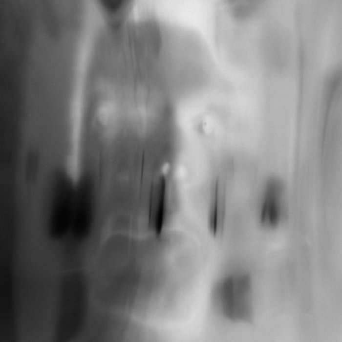 Metaportrait | WEHWALT