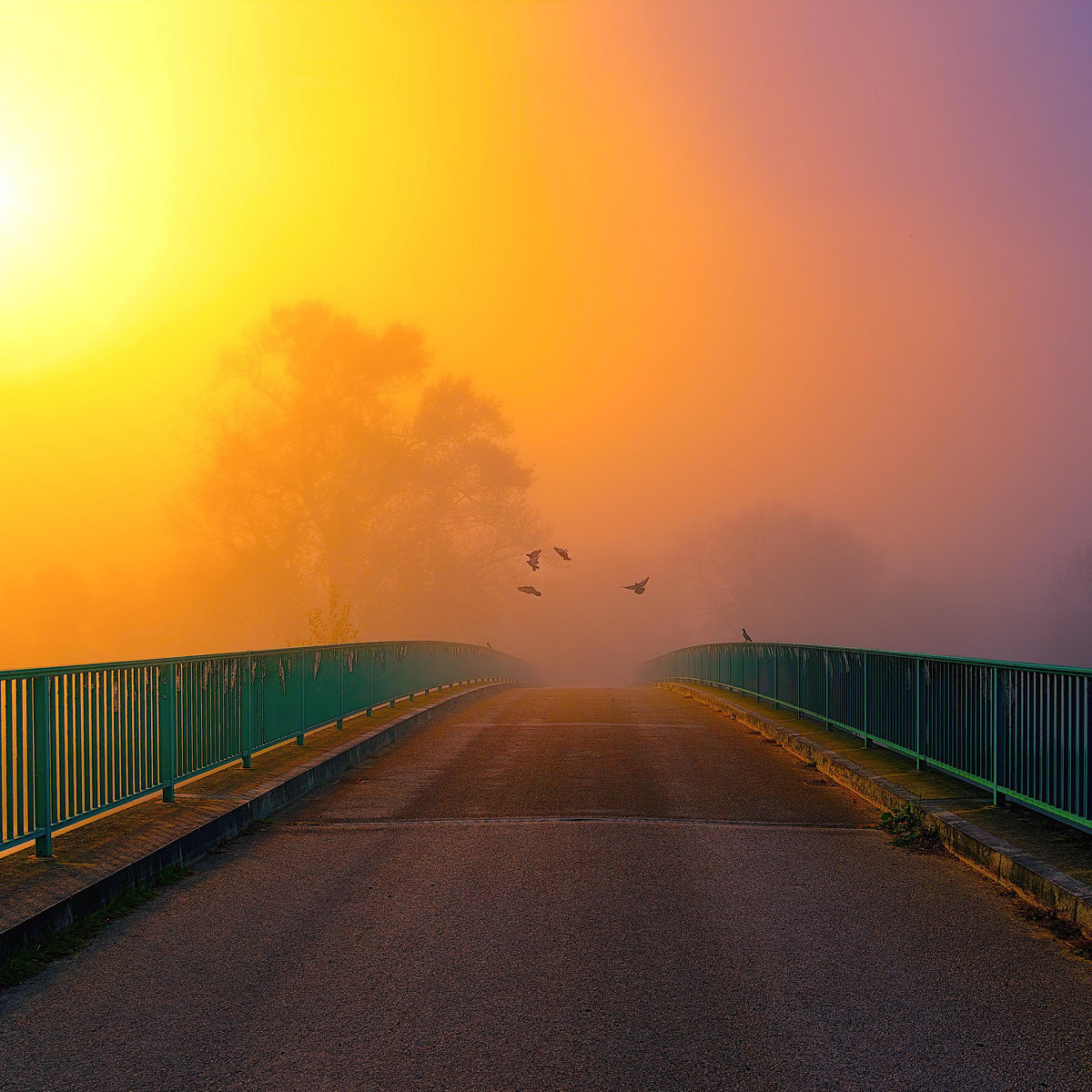 Want to Love | Aloboi