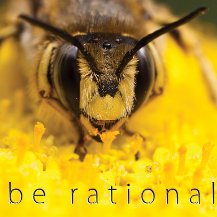 Be Rational | icanhasmath