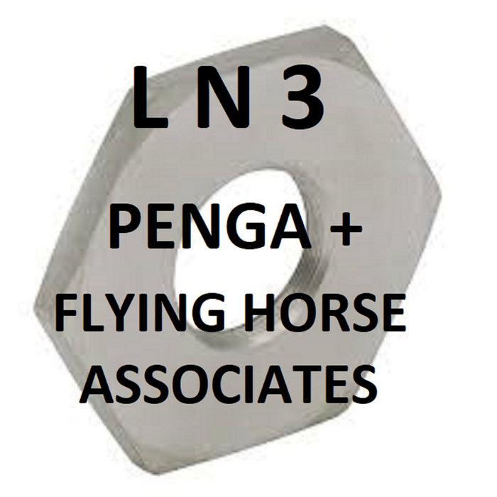 L N 3 | Penga+Flying Horse Associates | penga Alternate Media Tapes