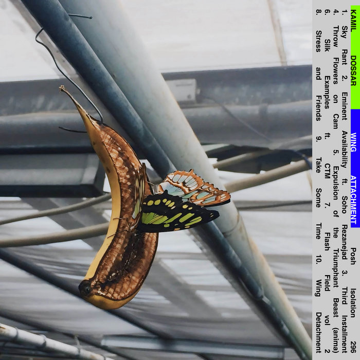 Wing Attachment | Kamil Dossar