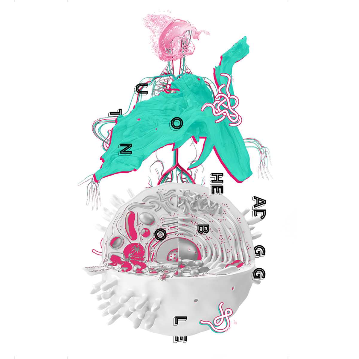 Head Boggle / UTON | Head Boggle / UTON | IKUISUUS