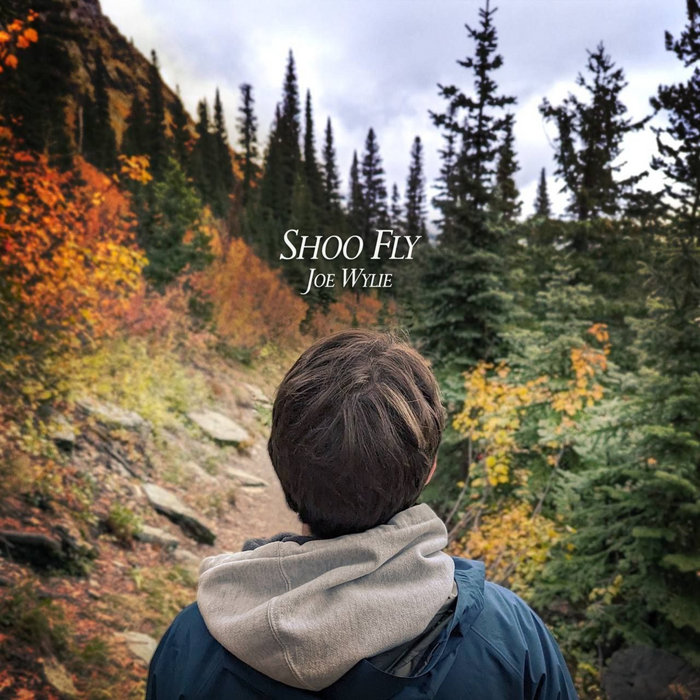 Shoo Fly | Joe Wylie