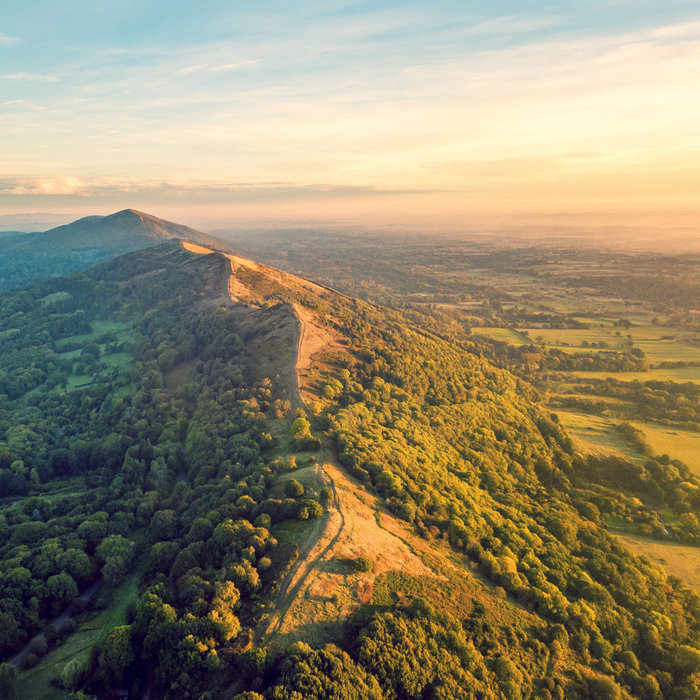 English Country | Root Wheel