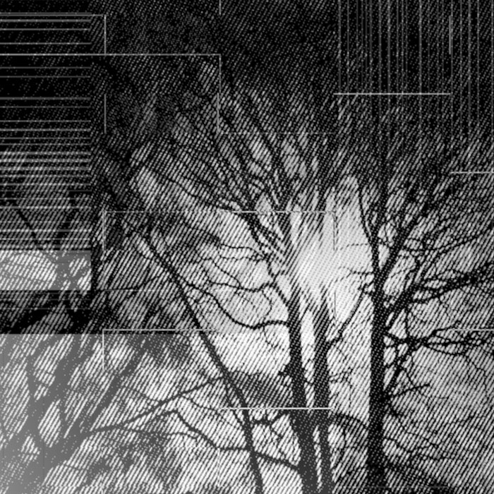 Forest Lore | Yggdrasil | Courier