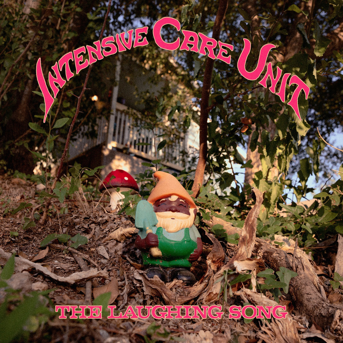 The Laughing Song | ICU