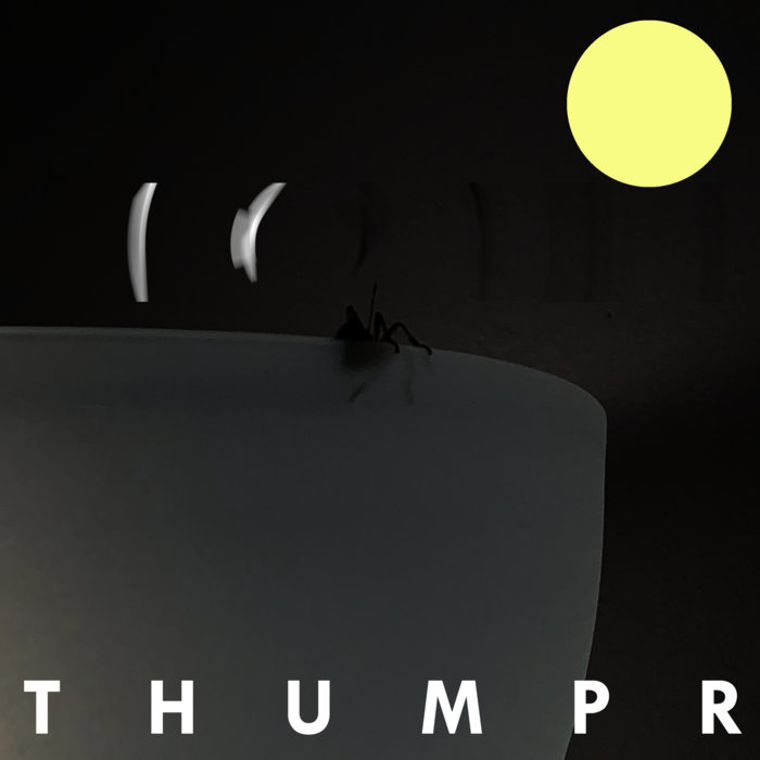 Seed | Thumpr