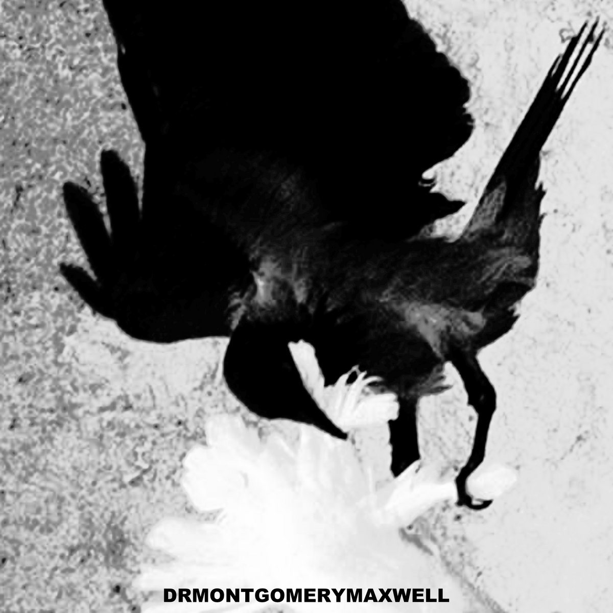 CROW | Dr. Montgomery Maxwell