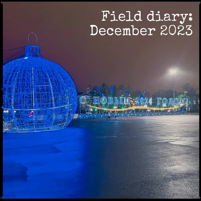 Field Diary: December 2023 | various artists | brokentaperecords
