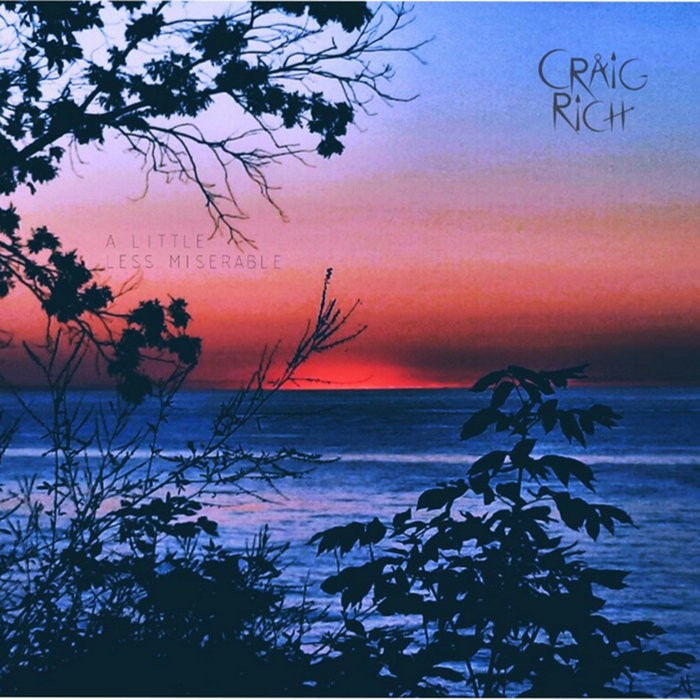 A Little Less Miserable | Craig Rich
