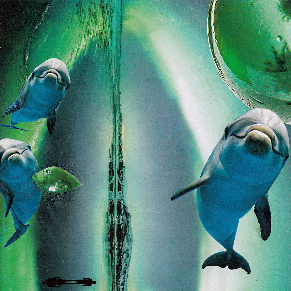 Identity Aquarium | WASAPIAN