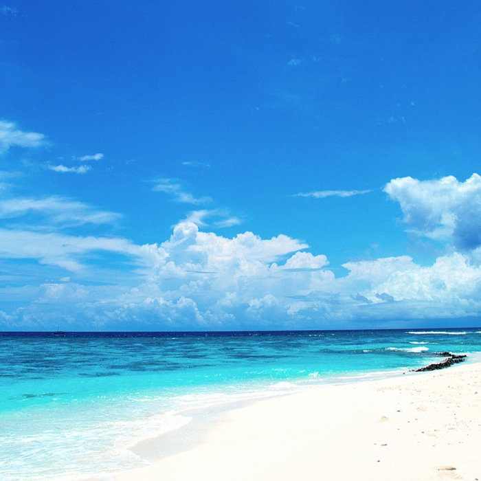 DEMO | Beach Pine Town