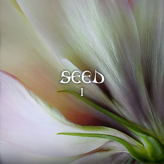 SEED 01 | MOYA