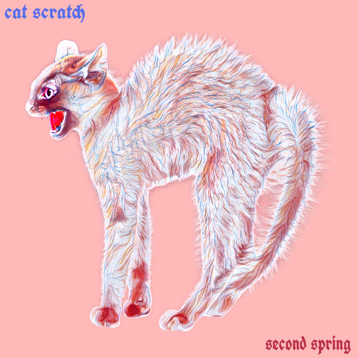 cat scratch demos | second spring