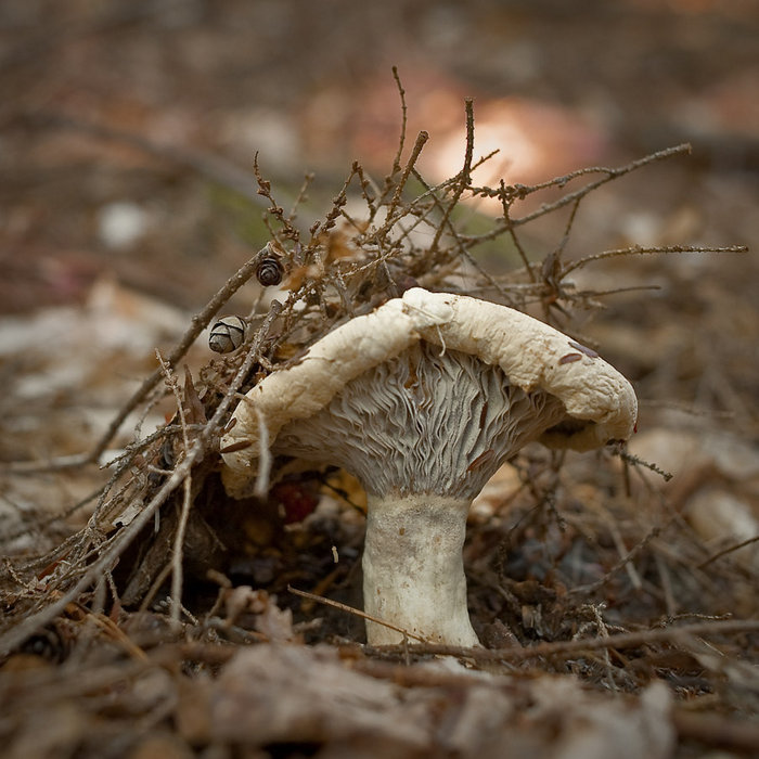 Wright/Samolis/Rosenthal Trio | Jack Wright/Matt Samolis/Eric Rosenthal ...