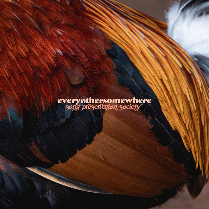 Every Other Somewhere | Song Preservation Society