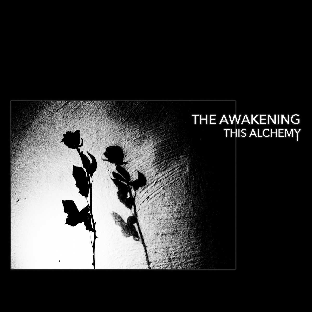 This Alchemy | The Awakening