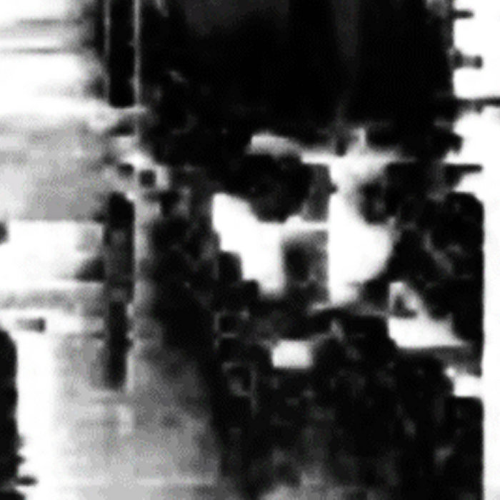 Lord of darkness | Rotten Wolf