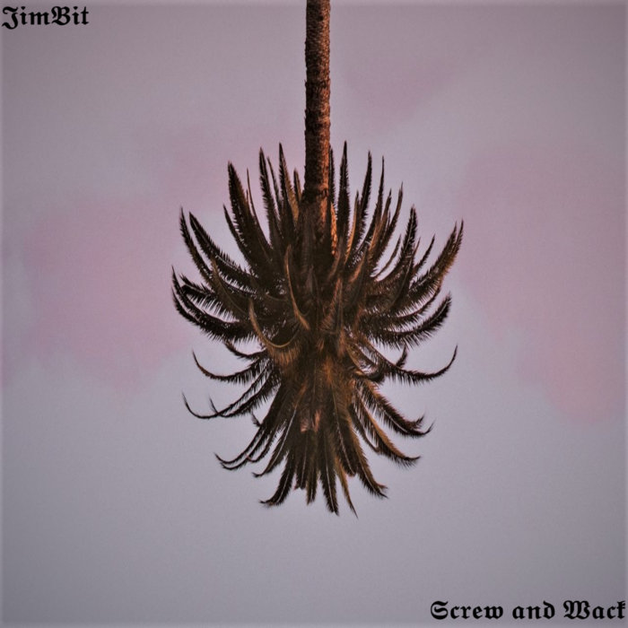 Screw & Wack / Hoarders | JimBit