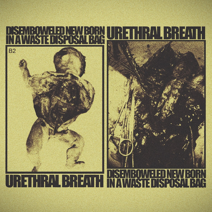DISEMBOWELED NEWBORN IN A WASTE DISPOSAL BAD/URETHRAL BREATH SPLIT ...