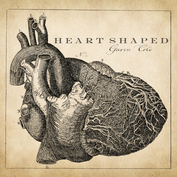 Heart Shaped | Gavin Cole