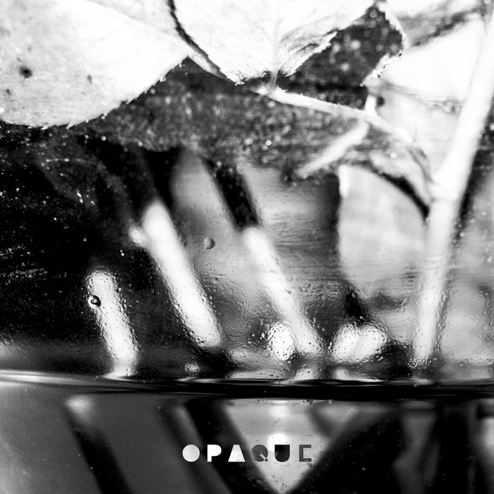 Opaque | Jack Brodie | Sample Crew