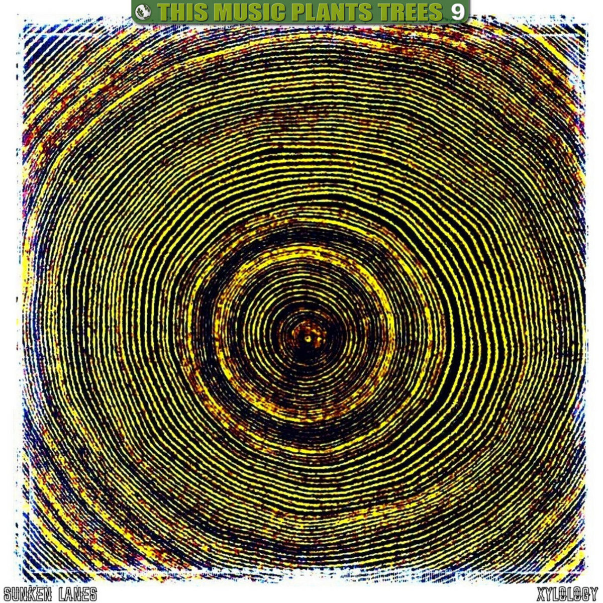 Xylem | sunken lanes