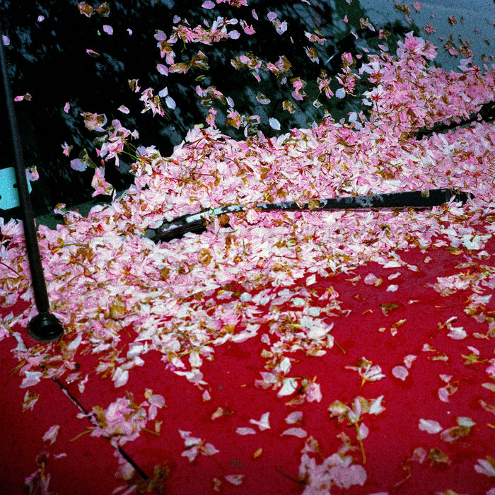 PROMENADE | Golden Drag