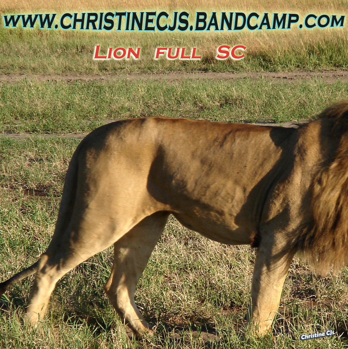 Lion full SC Mini Album | Christine CJs, Joël CJs | Christine CJs