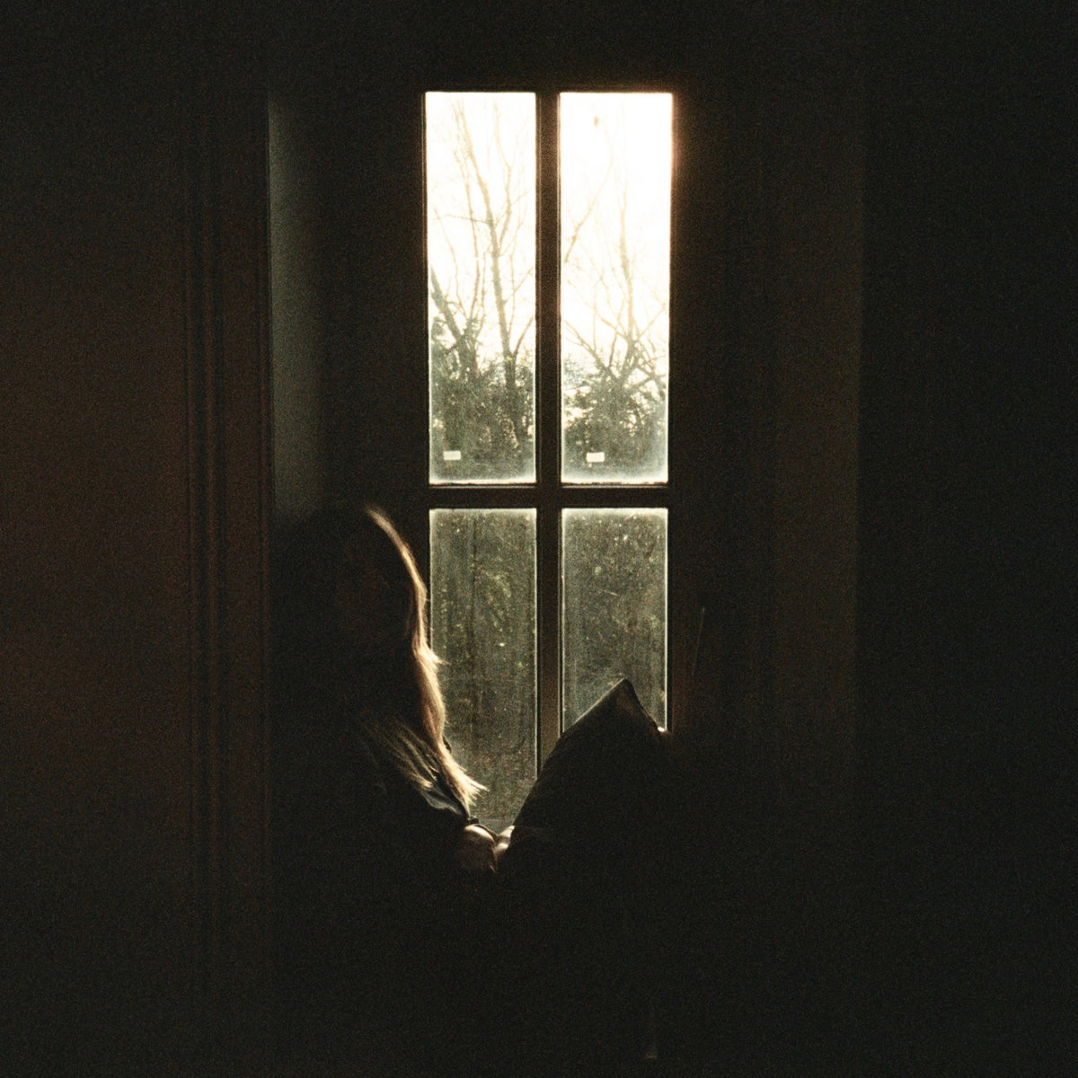 Little Light | Georgia Harmer