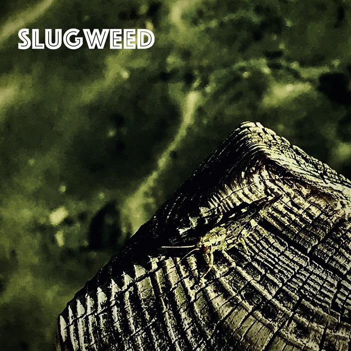 Internal | SlugWeed