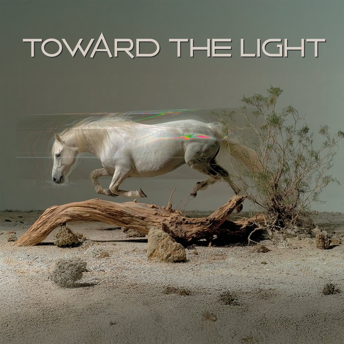 Toward the Light | Kelly Boesch