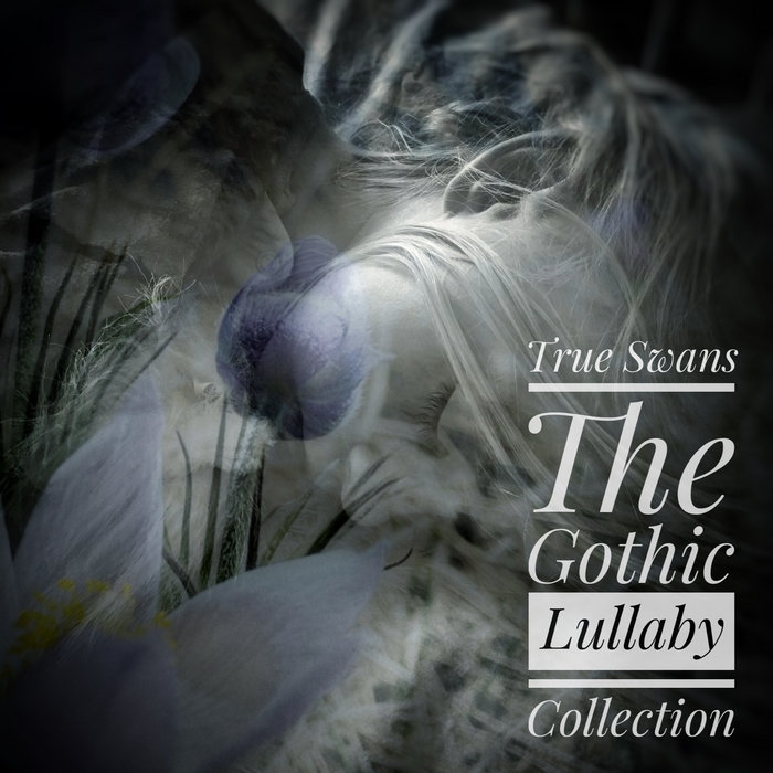 The Gothic Lullaby Collection | True Swans